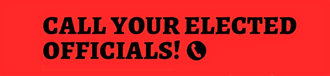 Call Your Elected Officials on Public Safety and Rioting |The Queens ...