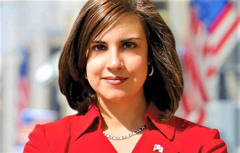Day of Action to help Nicole Malliotakis win! - The Queens Village ...